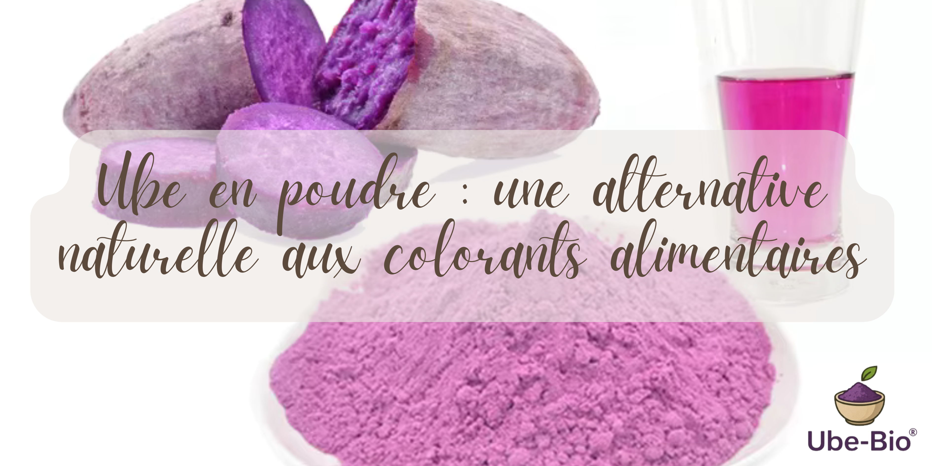 Ube-Bio: Boutique Française d'Ube, poudre d'Igname Violet – UBE-BIO