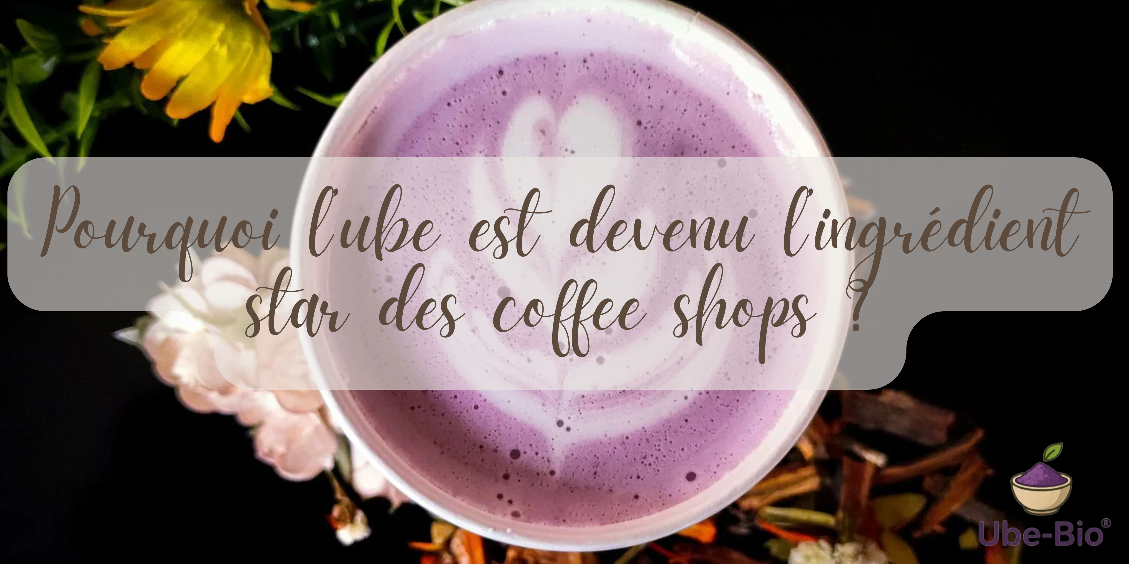 Ube-Bio: Boutique Française d'Ube, poudre d'Igname Violet – UBE-BIO