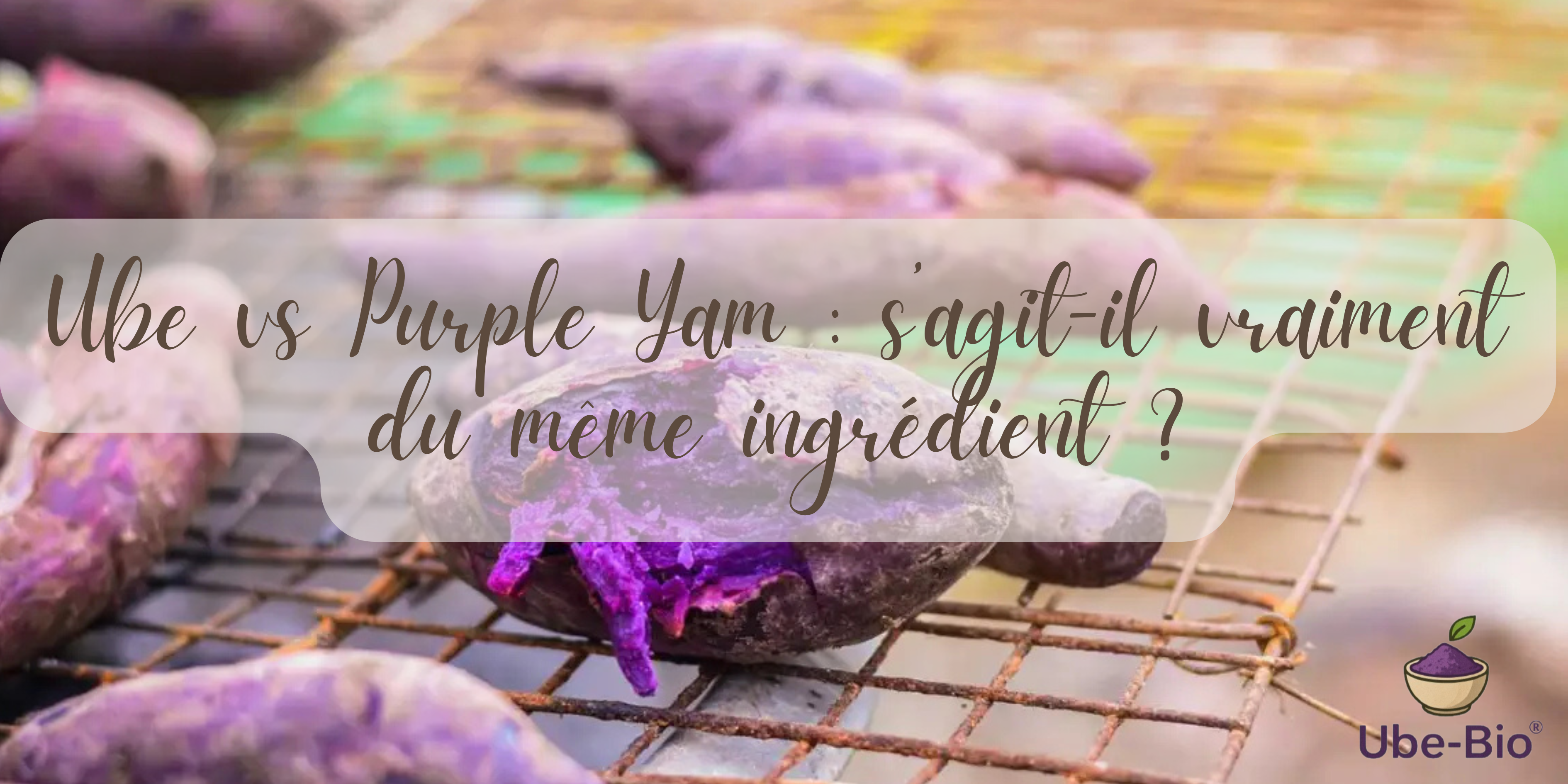 Ube vs Purple Yam : s’agit-il vraiment du même ingrédient ? – UBE-BIO