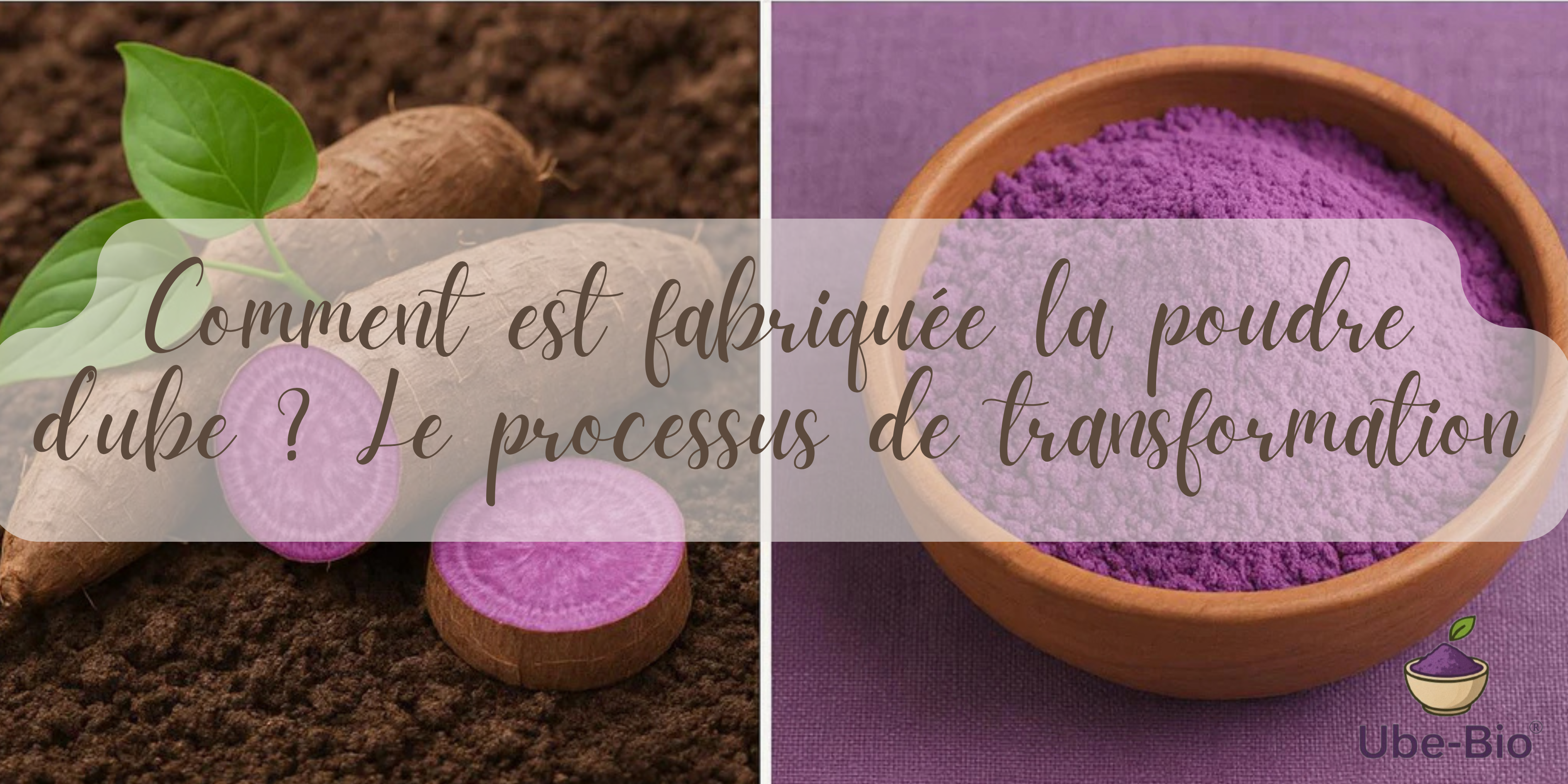 Ube-Bio- Boutique Française d'Ube la poudre d'Igname Violet – UBE-BIO